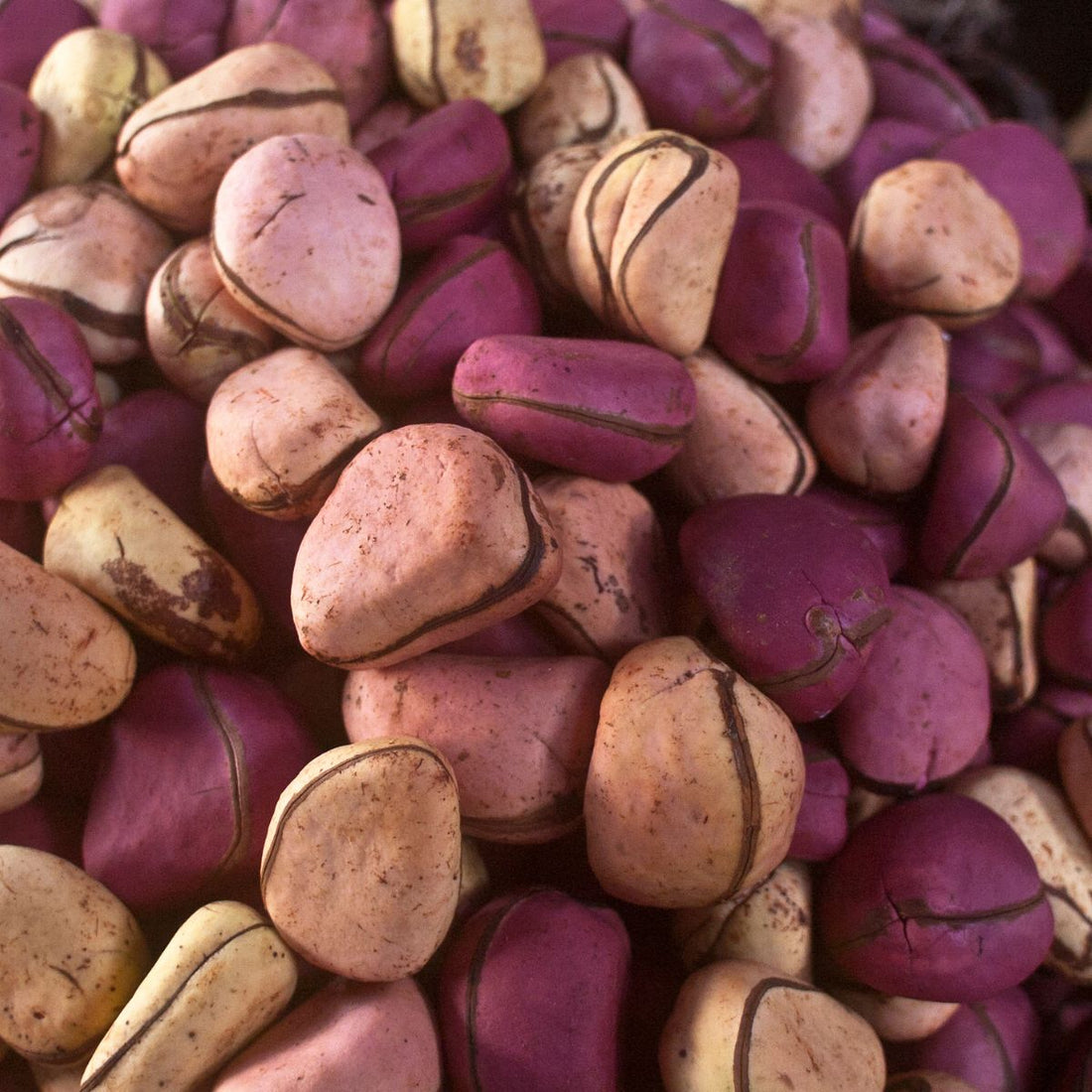 Alice Minceur – Objectif corps de rêve – Alice paris